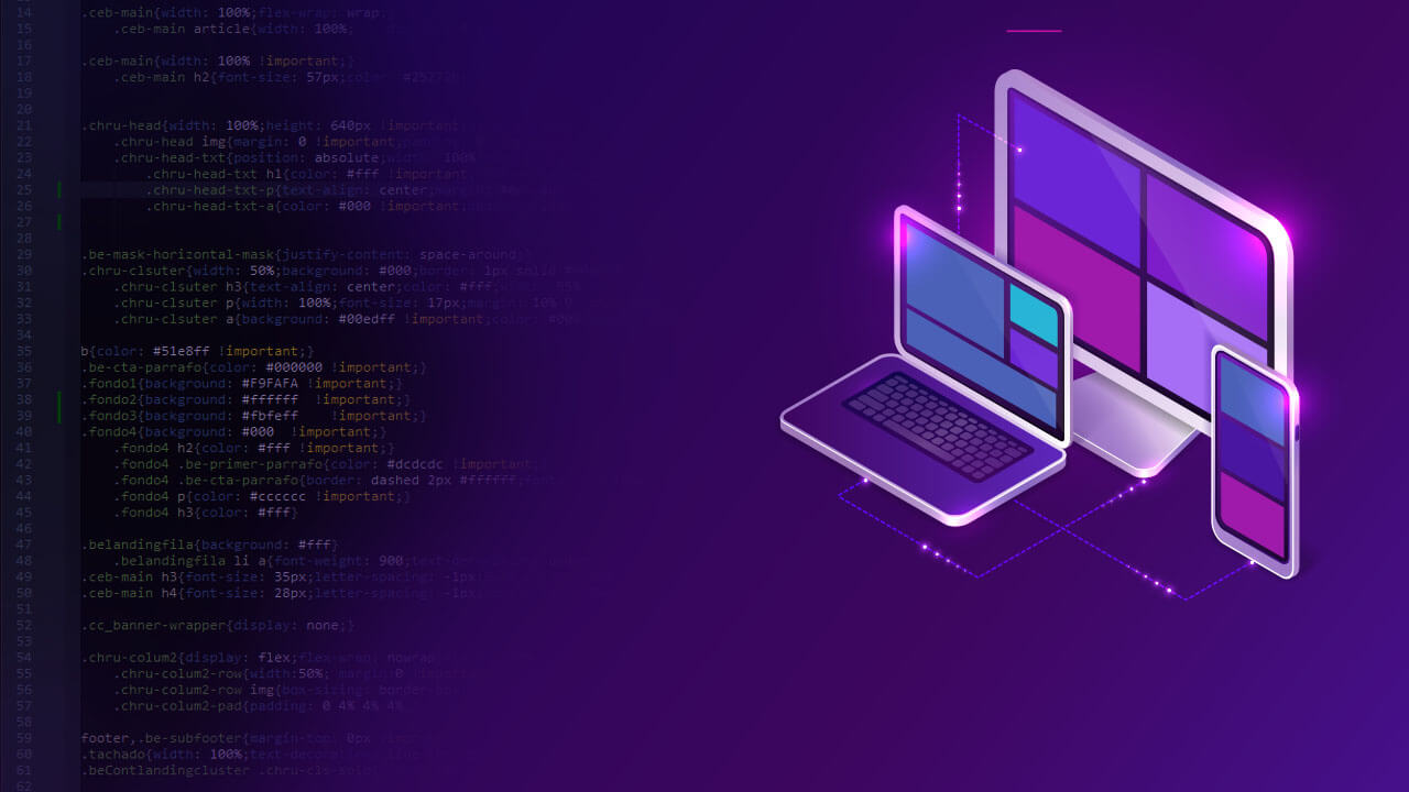 Desarrollador WordPress Freelance - Experto en WordPress